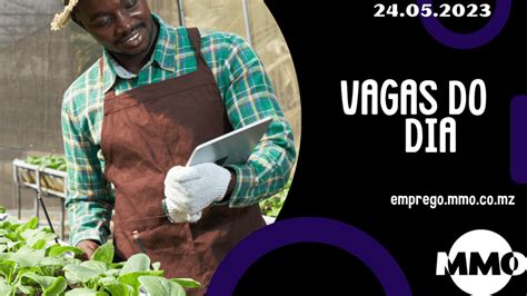 Vagas De Emprego Do Dia 24 De Maio De 2023 62 Vagas MMO