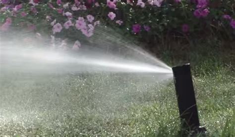 El Lado Feo De Sistema De Riego Automatico Para Jardin Jardines Urbanos