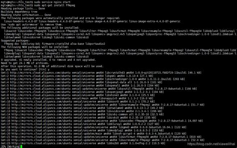 手把手教你，ubuntu 搭建实时流媒体服务器 ubuntu20 流媒体 服务器 easydarwin csdn博客