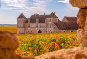 Visiter la Bourgogne en 3 jours les incontournables d une région