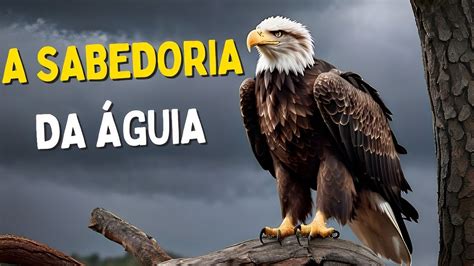 A SABEDORIA DA ÁGUIA CONHEÇA AS 5 LIÇÕES DE VIDA QUE PODE TIRAR DE