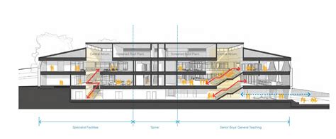 Sectional Drawing Architectus New Zealand