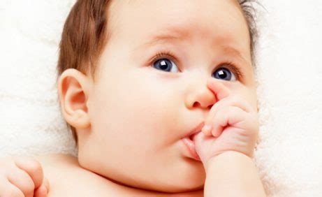 O reflexo de sucção dos recém nascidos Sou Mamãe