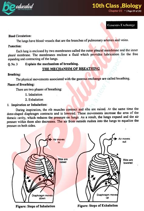 Chapter Biology Th Class Notes Matric Part Notes