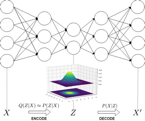 variational autoencoder download scientific diagram