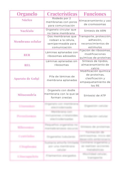 SOLUTION Cuadro Comparativo Organelos Studypool 4700 The Best Porn