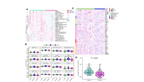The Immune Characteristics Of Distinct Immune Microenvironment