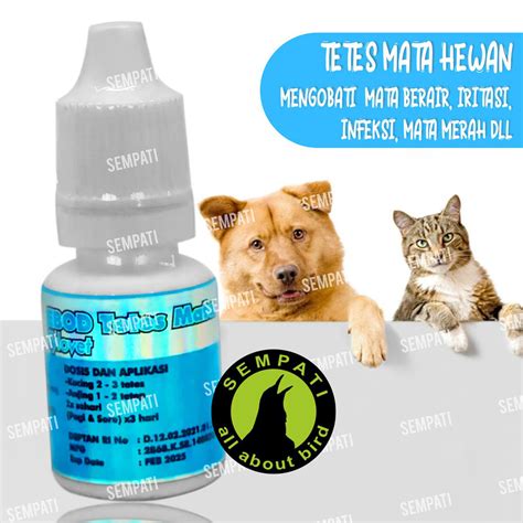 Obat Kucing Ebod Tetes Mata Obat Kucing Sakit Mata Merah Berair Belekan