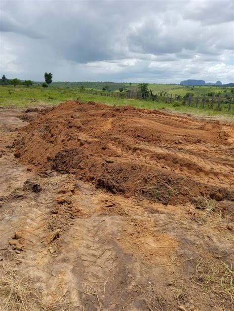 A Gazeta Raio Mata Cabe As De Gado Em Fazenda De Ecoporanga