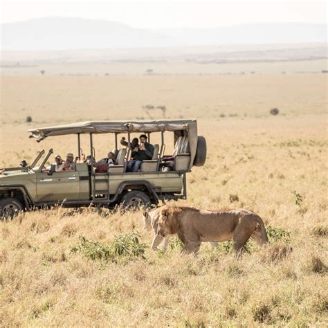 How To Get To Masai Mara National Reserve Kenya Safaris Tours