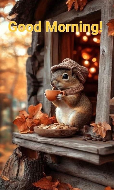 Pin By MJ Hunter Wemken On Good Morning Good Night In