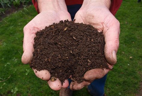 Terreno Acido Come Riconoscerlo Tipi Di Terreno E Come Riconoscerlo