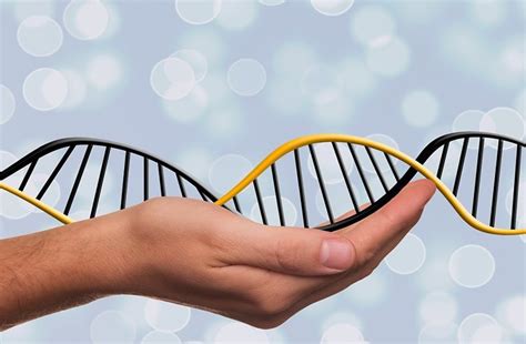 Brain Aging Gene Discovered Neuroscience News