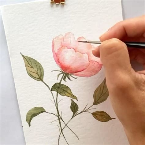 Pin By Reatha Venditti On Diy Watercolor Painting In 2024 Watercolor
