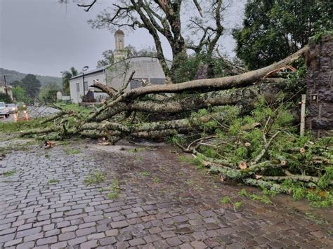 Temporal causou destelhamentos e queda de árvores Trânsito Portal