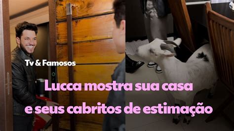 Cabrito de estimação invade gravação de Lucca campeão do Estrela da