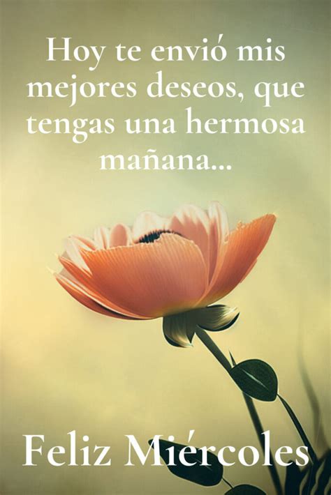 Frases buenos dias miercoles Imágenes Buenos Días