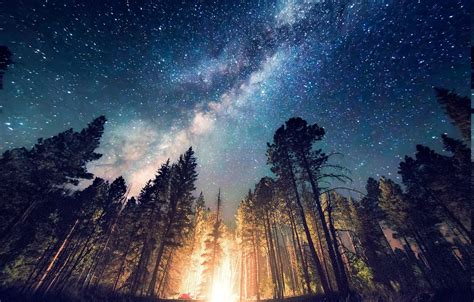 Papel de parede Árvores panorama Luzes floresta galáxia natureza