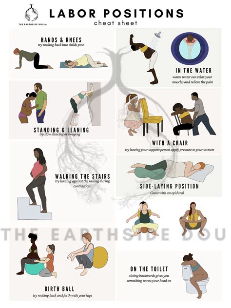 Labor Positions Infographic For Birth Workers Commercial Use Doula Midwife Obgyn Fitness Etsy