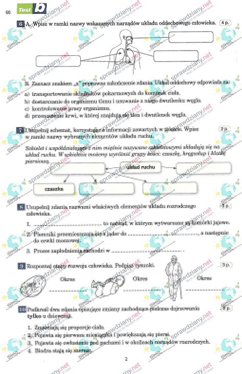 Test Przyroda Klasa 4 Układ Pokarmowy Margaret Wiegel