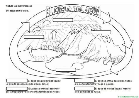 El Ciclo Del Agua Primaria Web Del Maestro Ciclo Del Agua
