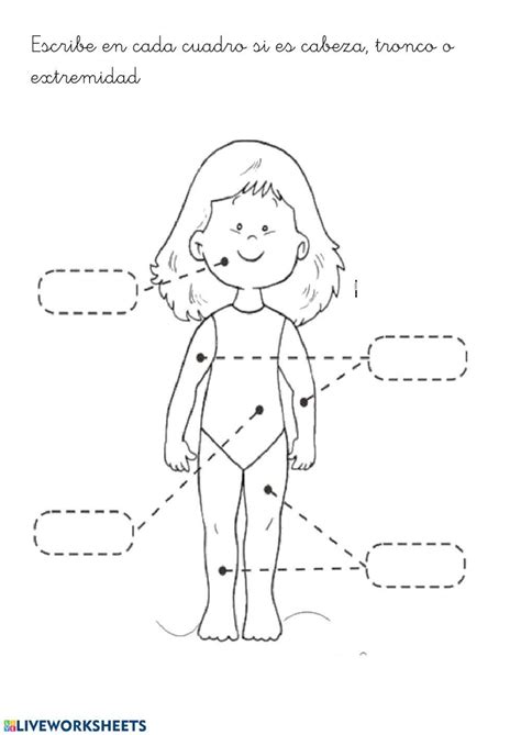 Fichas Sobre El Cuerpo Humano C Cuerpo Humano Para Ni Os Cuerpo