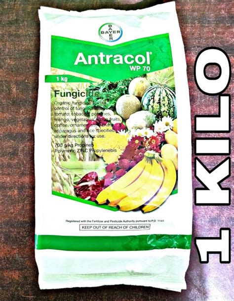 ANTRACOL WP 70 1 KILO PROPINEB FUNGICIDE By BAYER Lazada PH