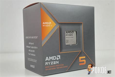 AMD Ryzen 5 8600G Review Ryzen G Series Is Back Pokde Net