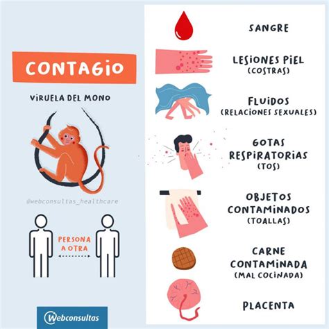 Viruela del mono Cómo se transmite y su vacuna