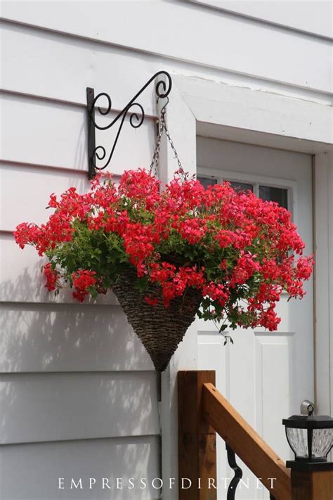 25 Planter Ideas For Porches And Front Gardens Plants Container