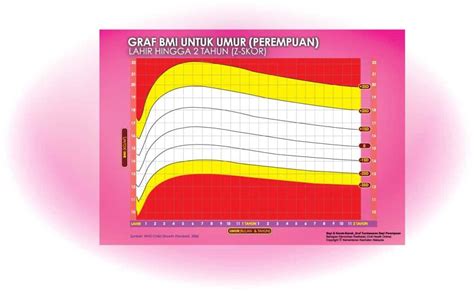 Kalkulator BMI Cara Kiraan Manual Dan Digital Mengikut Usia