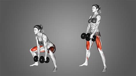 Dumbbell Sumo Deadlift Benefits Muscles Worked And More Inspire US