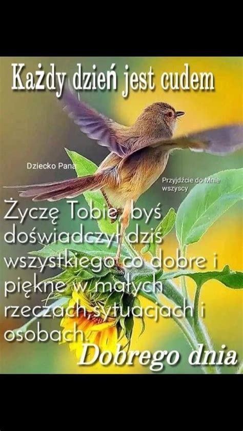 Pin Di Nelly Yllen Su Dzie Dobry Nel