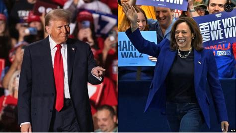 Resultados De Las Elecciones En Estados Unidos 2024 News Report MX