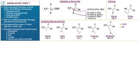 Biochemistry Amino Acid Structures Part I Ditki Medical And Biological Sciences