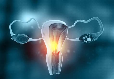 Atrofia vaginal qué es y cuáles son sus síntomas