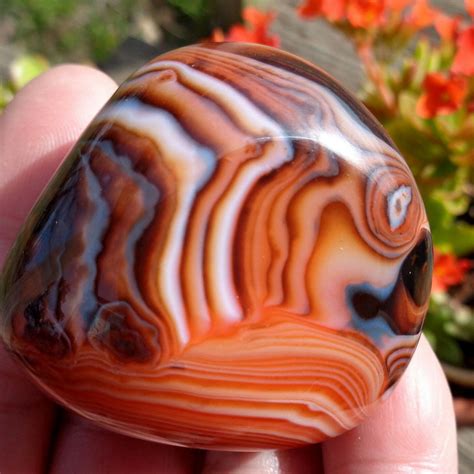 Top 101 Pictures Pictures Of Agate Stones Stunning