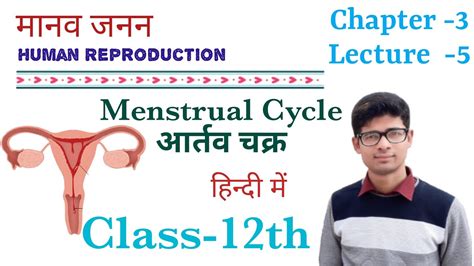 Human Reproduction Menstrual cycle in Hindi आरतव चकर महवर
