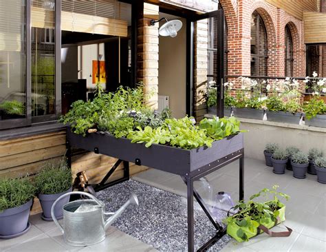 Hazte con un huerto urbano y descubre la pasión de cultivar Leroy Merlin