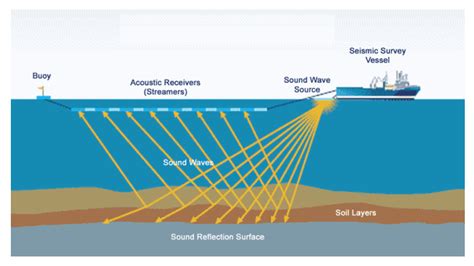 Petroleum Exploration AAPG Wiki