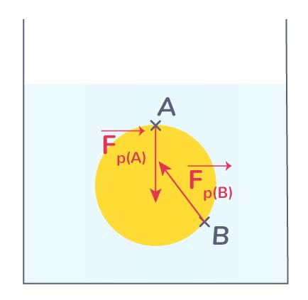 Tracer une force pressante 1ère Exercice Physique Chimie Kartable