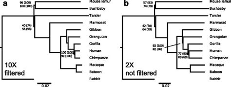 two stage nonparametric and parametric bootstraps a examples of download scientific diagram