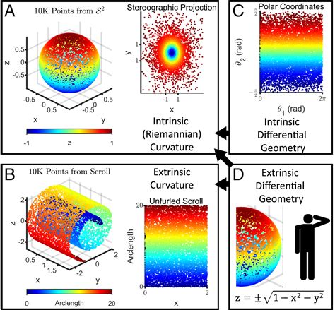 computing the riemannian curvature of image patch and single cell rna sequencing data manifolds