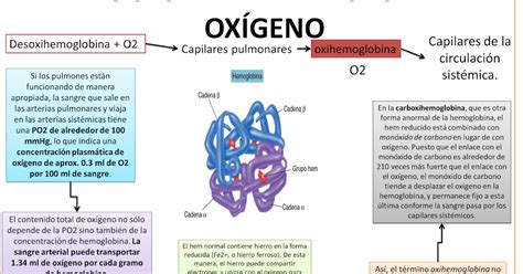 BLOG DE FISIOLOGÍA MEDICA UAS BRIANDA LÓPEZ 4 7 Hemoglobina y