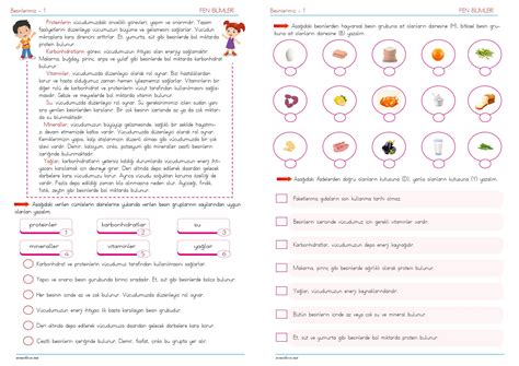 besinlerimiz 4 sınıf etkinlik ve çalışma kağıdı PDF