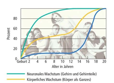 Kapitel 9 Entwicklung Karteikarten Quizlet
