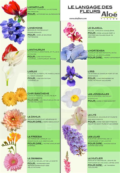 D Couvrez Le Langage Des Fleurs Aloe Fleurs