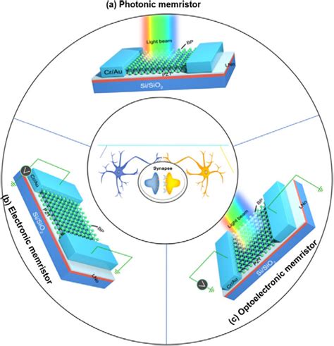frontiers overview of memristor based neural network design and applications