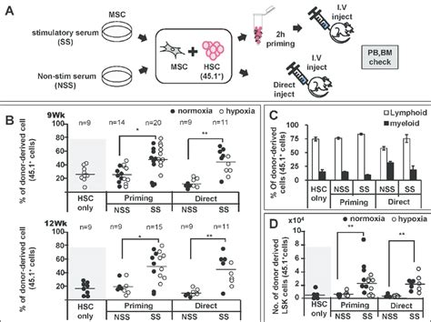 Effects Of Co Transplanting HSCs With MSC Cultured Under Different