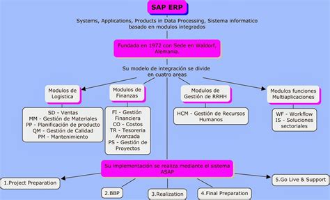 Sistemas De Informaci N Mapa Conceptual Sap